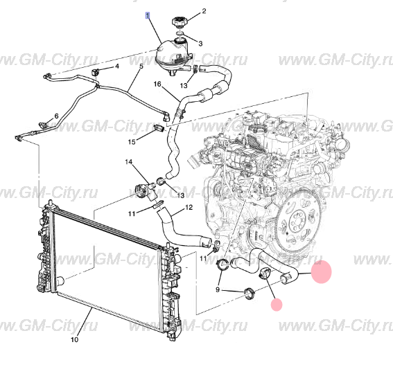 Патрубок радиатора выпускной купить для Chevrolet TrailBlazer III ...